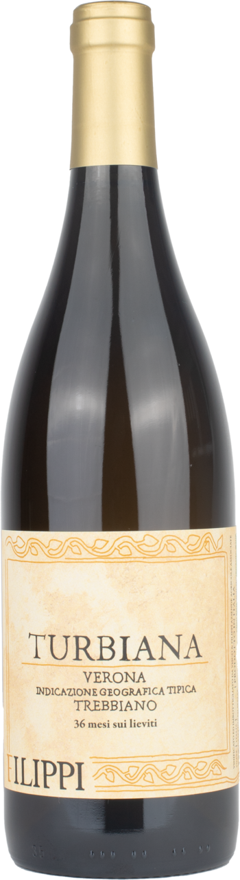Turbiana Verona IGT Bio 36 mesi sui lieviti 2018 von Filippi | Smith & Smith