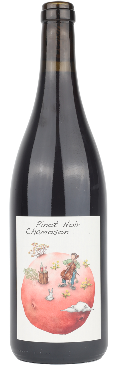 Pinot Noir Chamoson AOC 2022 von Domaine des Petites Planètes | Smith ...