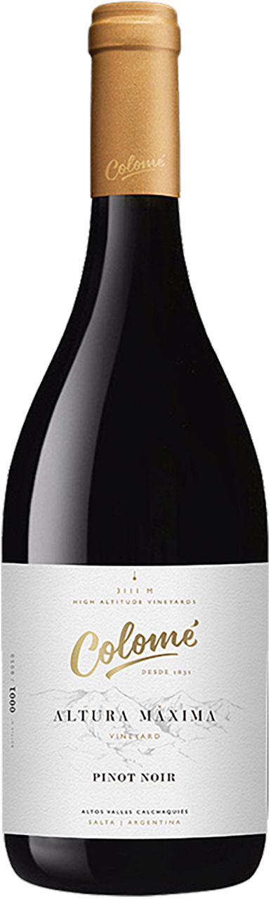 Colomé Lote Especial Pinot Noir "Altura Maxima" 2022 von Bodega Colomé ...